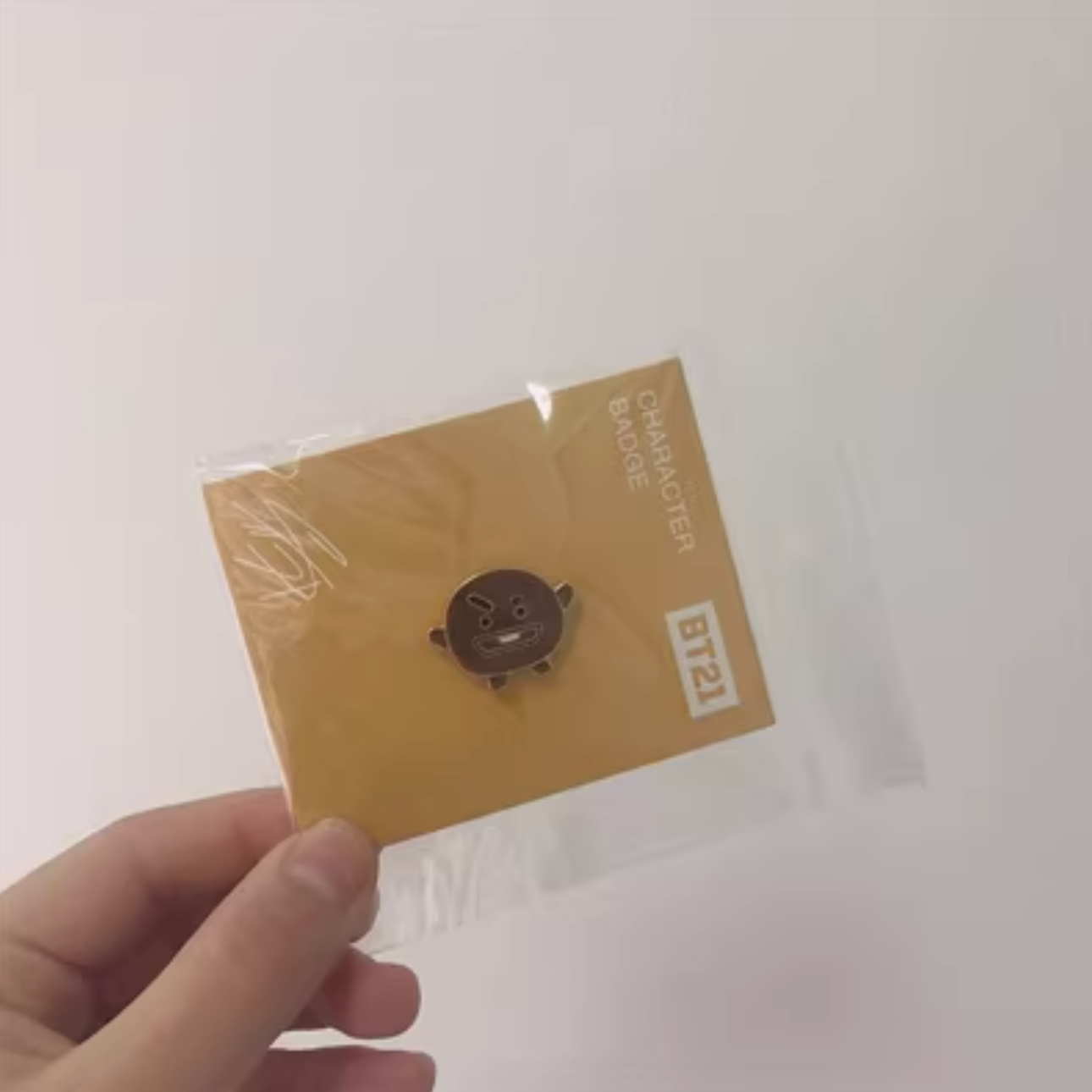 BTS BT21 Brooch | IDOL LOOKBOOK