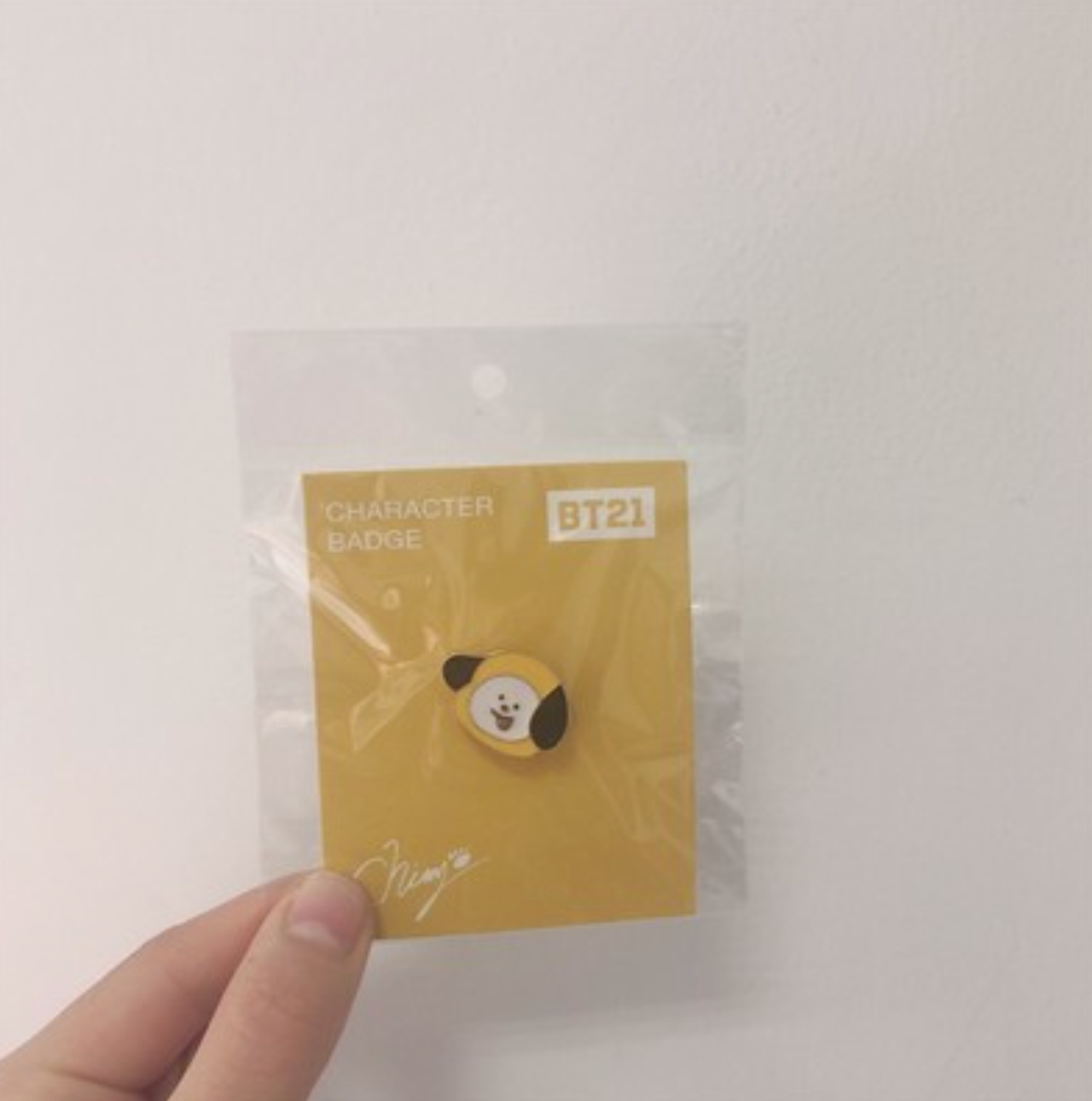 BTS BT21 Brooch | IDOL LOOKBOOK